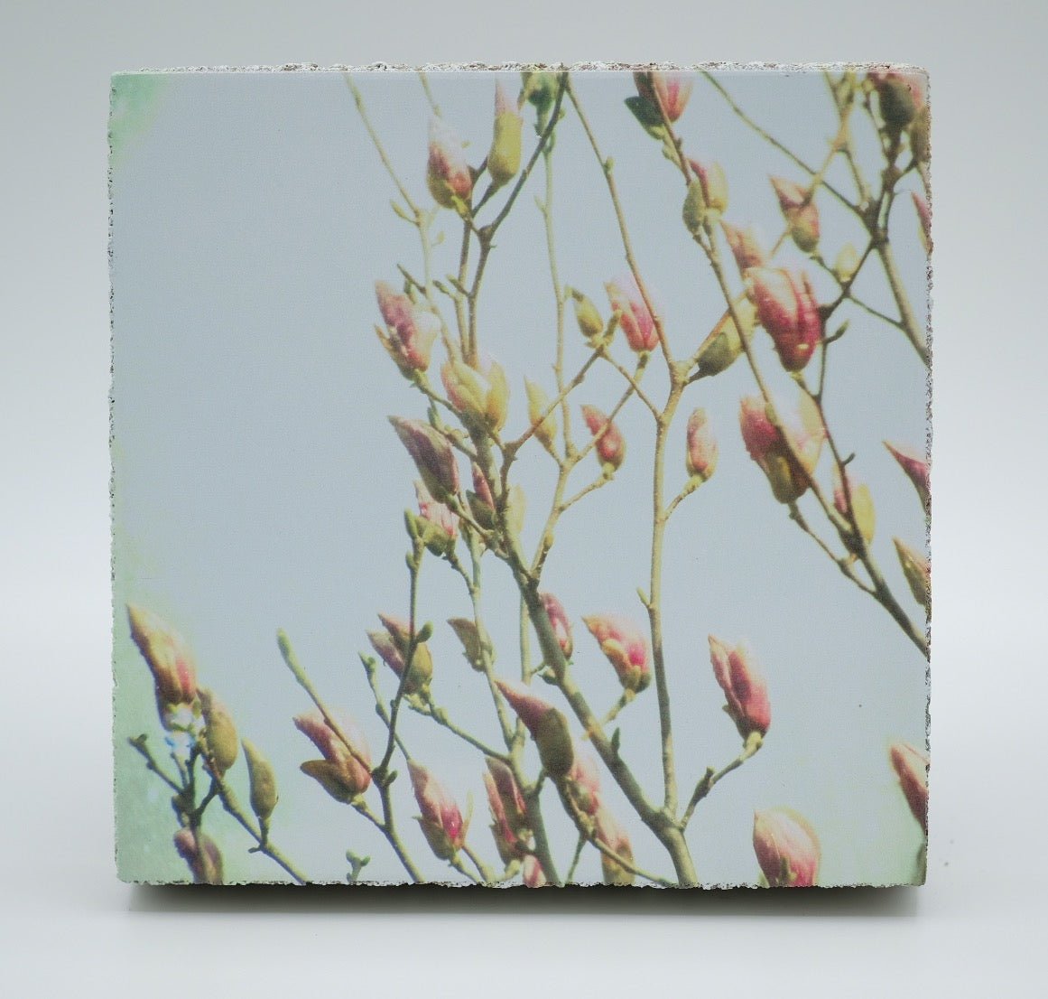 Memories of Spring | Cedar Mountain Studios