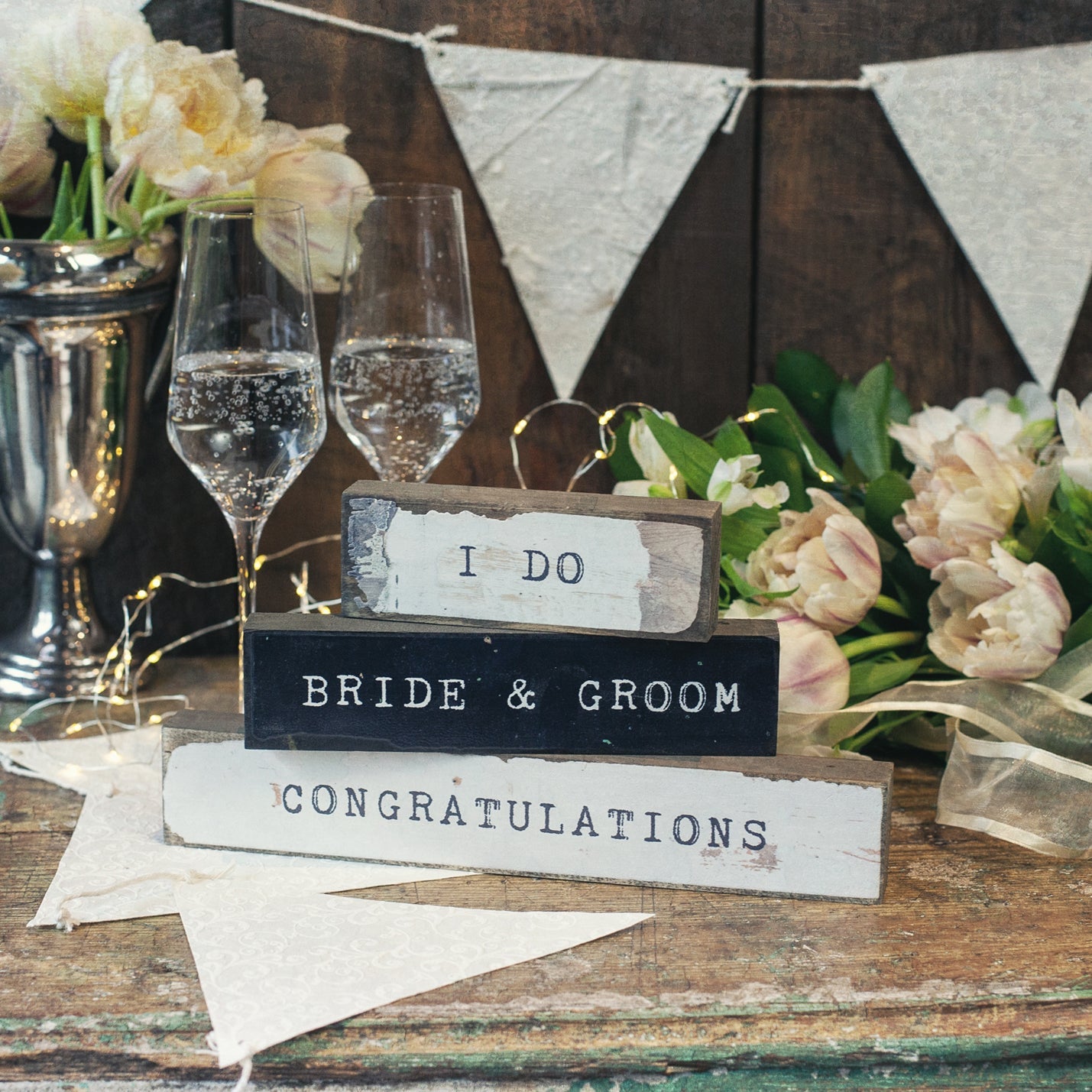 Congratulations Timber Bit | Cedar Mountain Studios