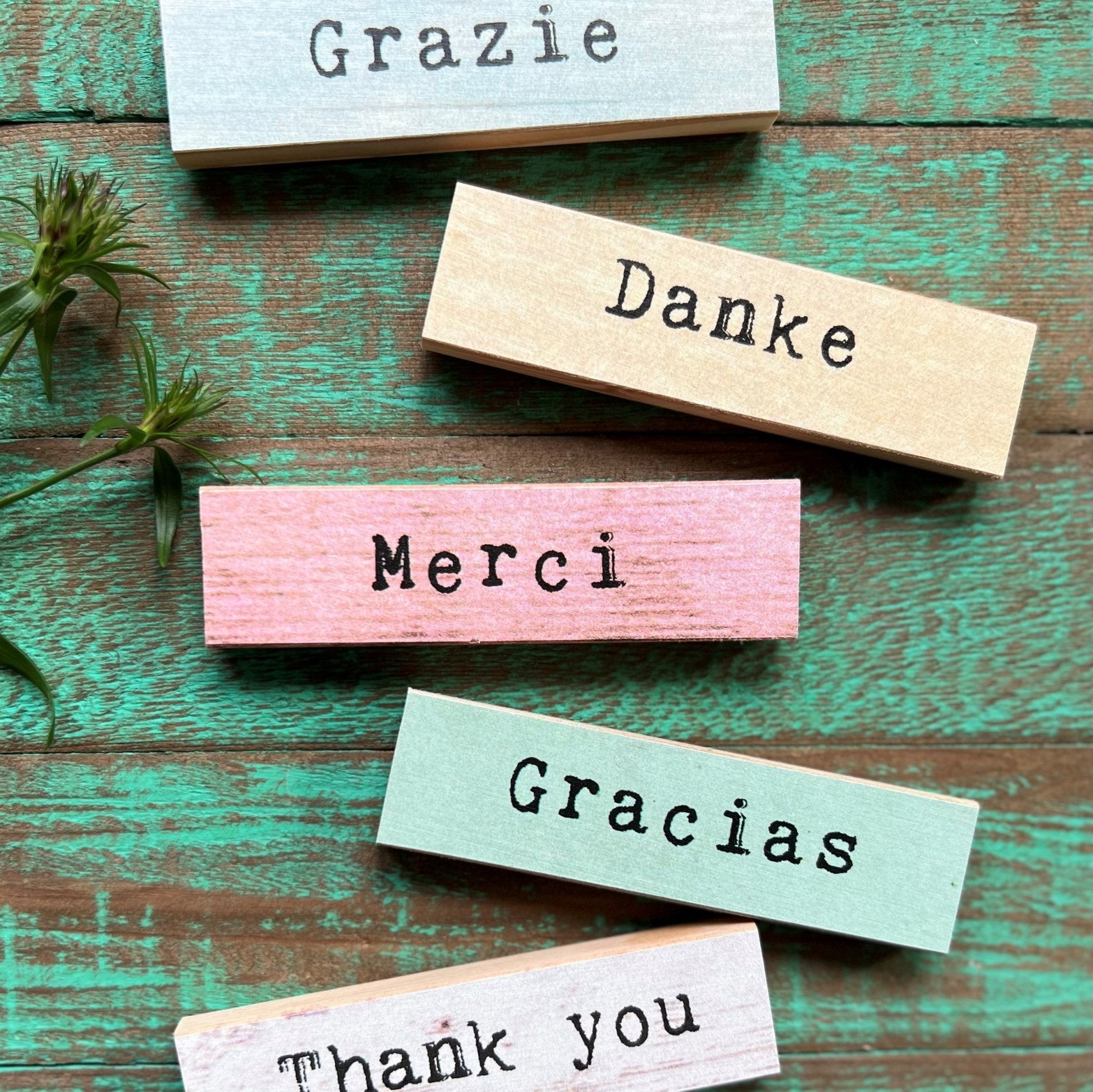 Thank You Magnets in 5 Languages | Cedar Mountain Studios