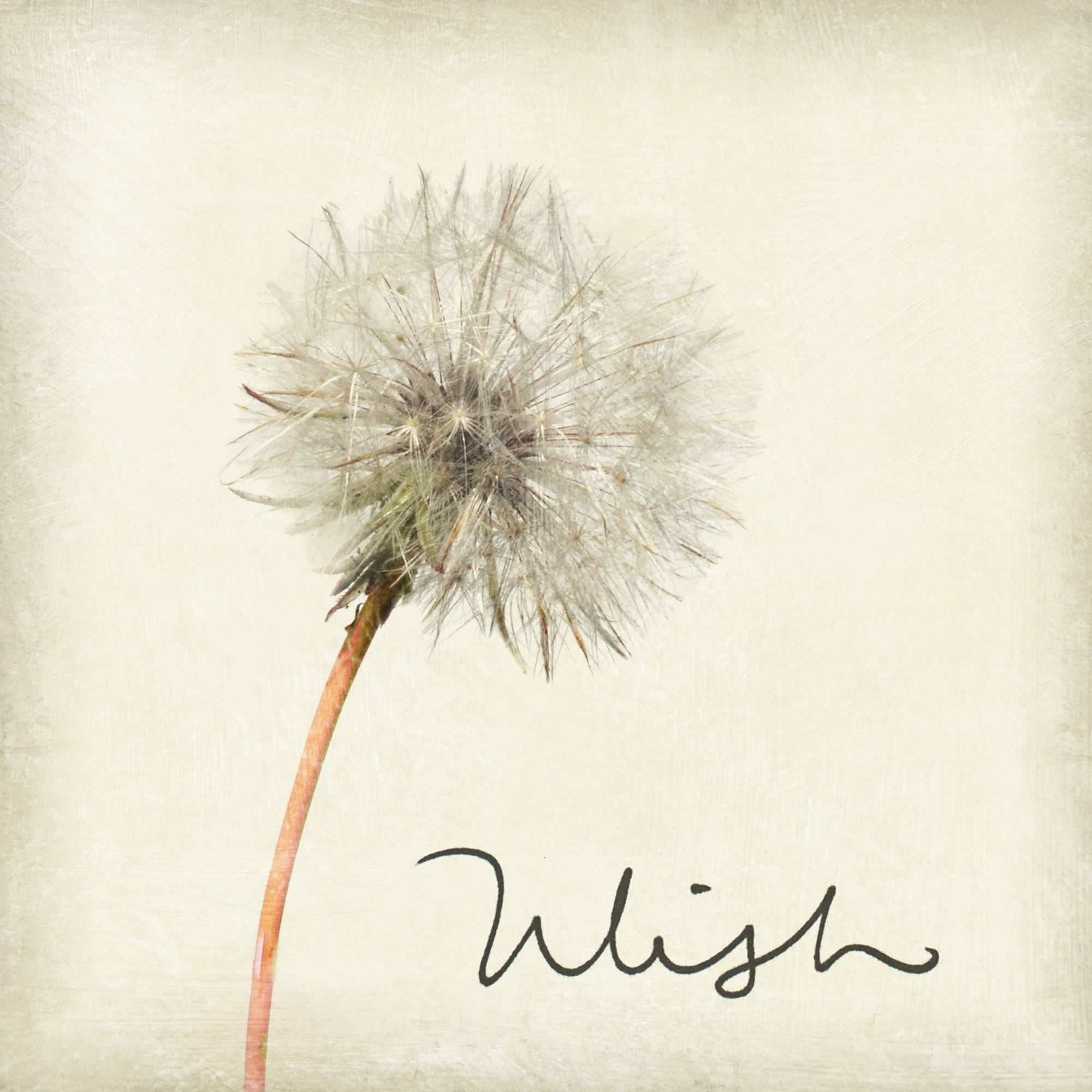 Handmade Marble Coaster | Wish | Home Decor – Cedar Mountain Studios