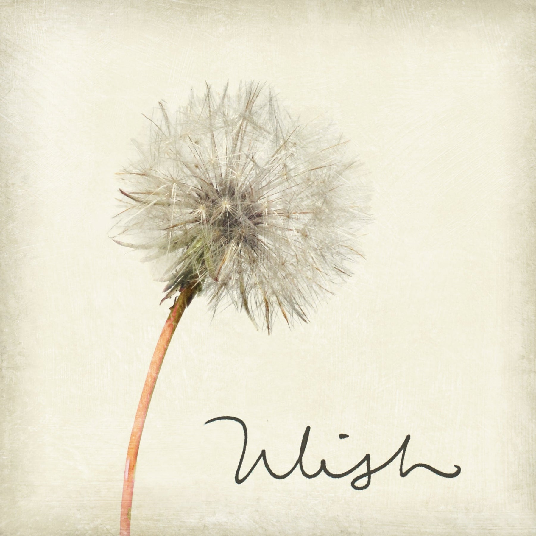 Handmade Marble Coaster | Wish | Home Decor – Cedar Mountain Studios